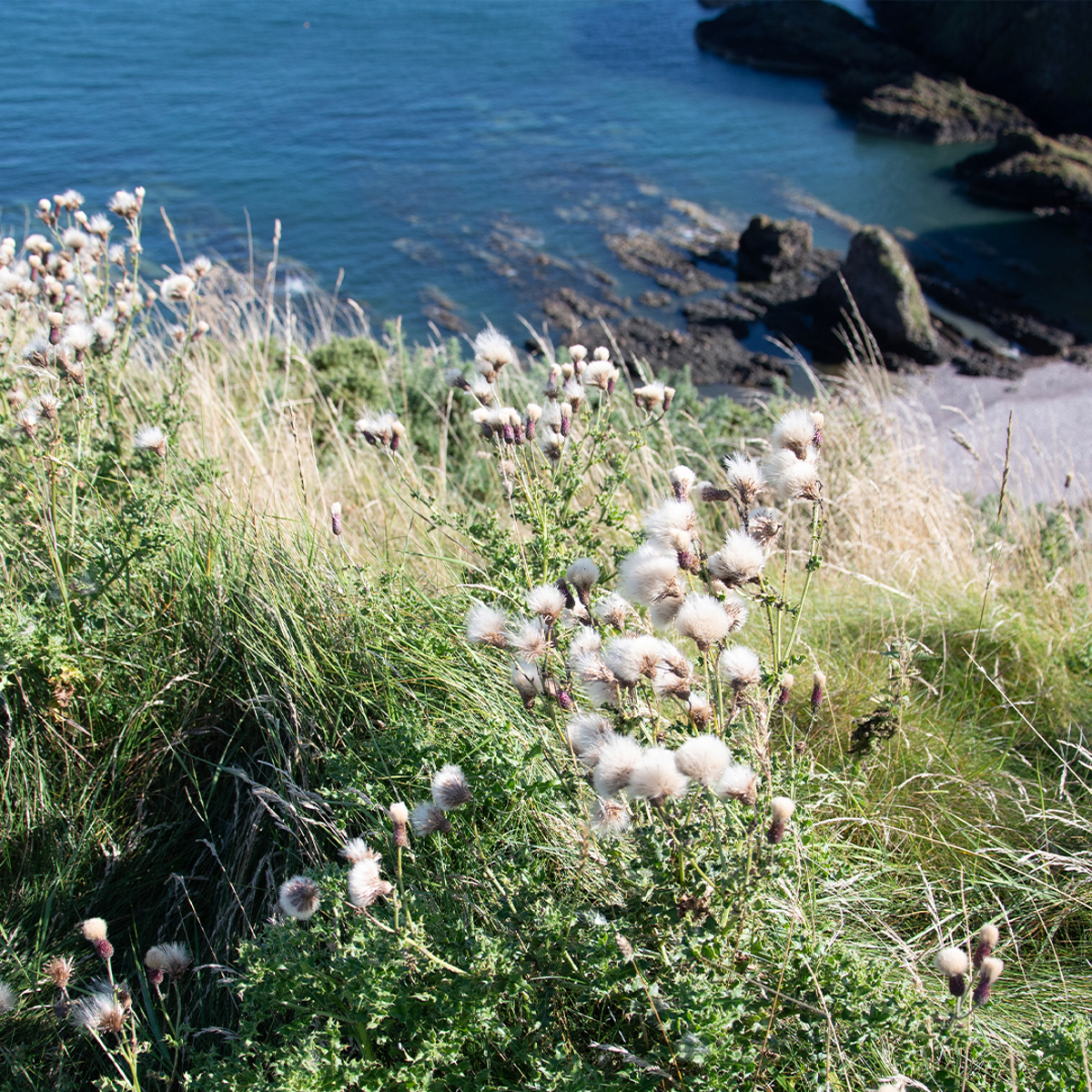 Welltec | Environment