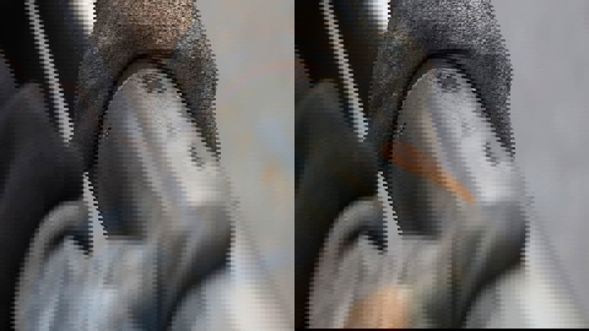 Welltec | JANG173764 - Well Stroker restores wellbore access