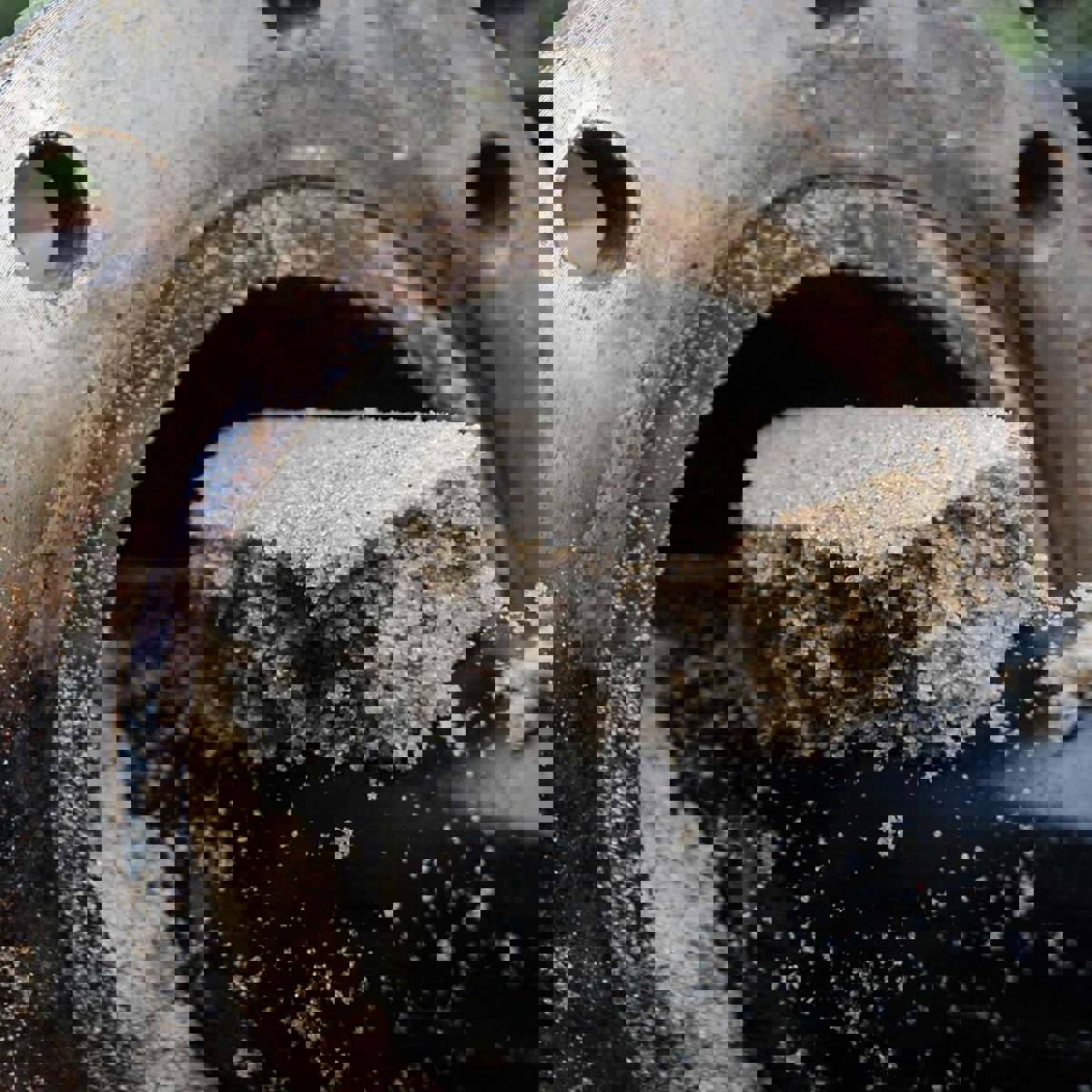 Welltec | Downhole access